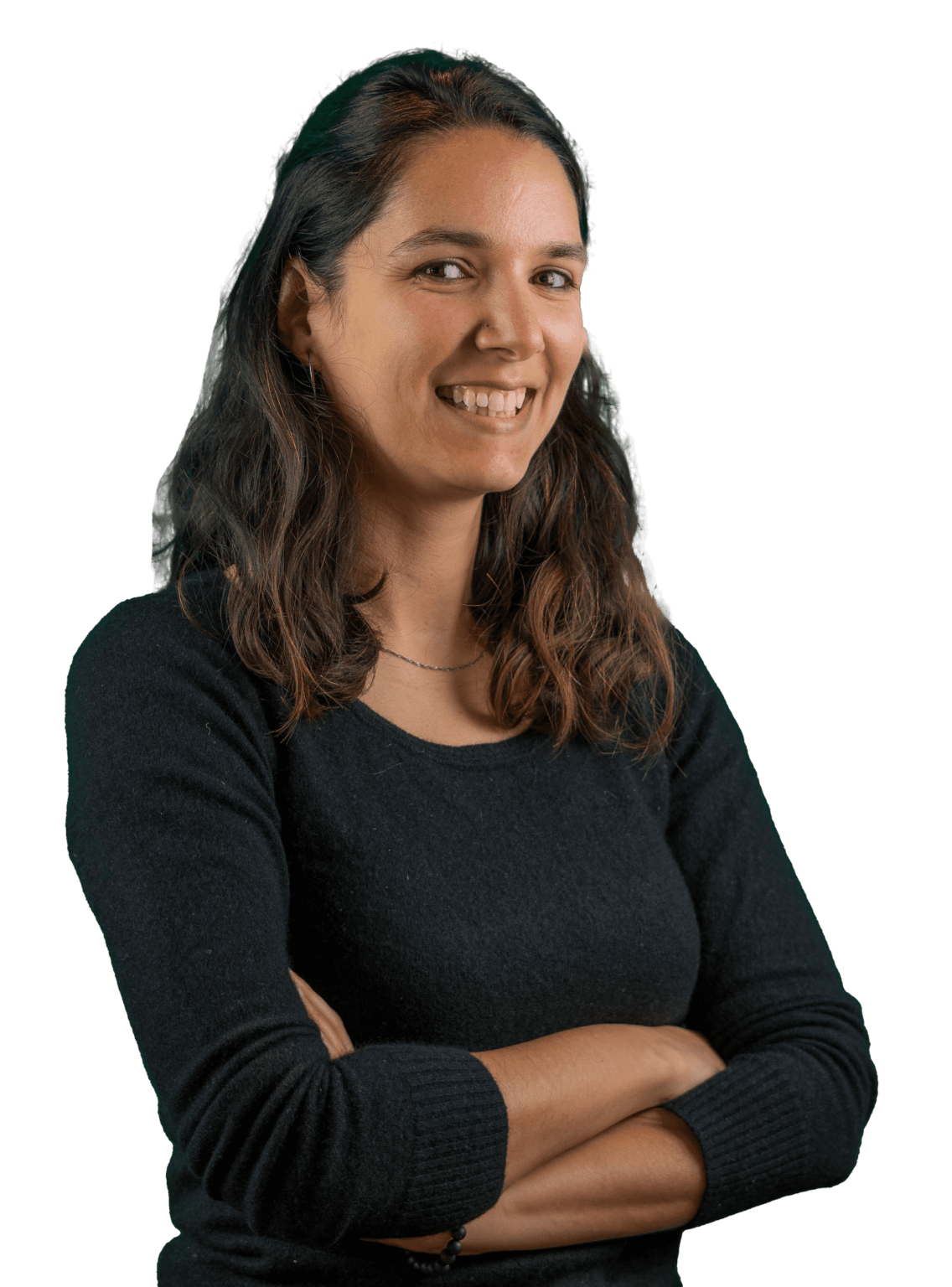 Nuestro equipo - Teowin Software